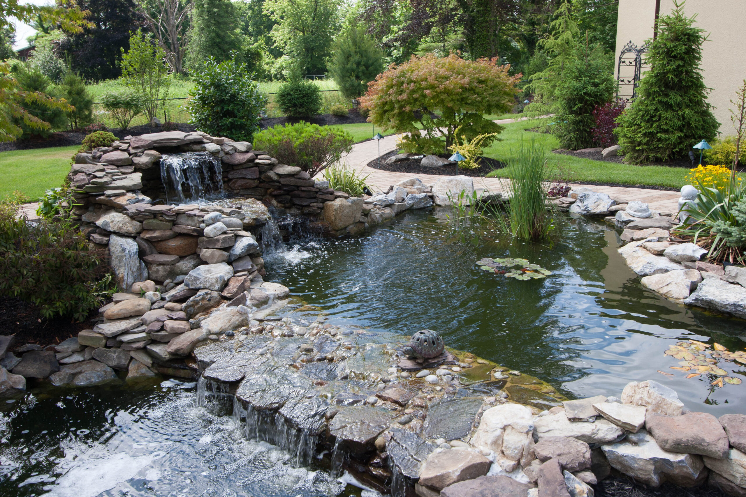 Pond Photos - Pondscapes And More